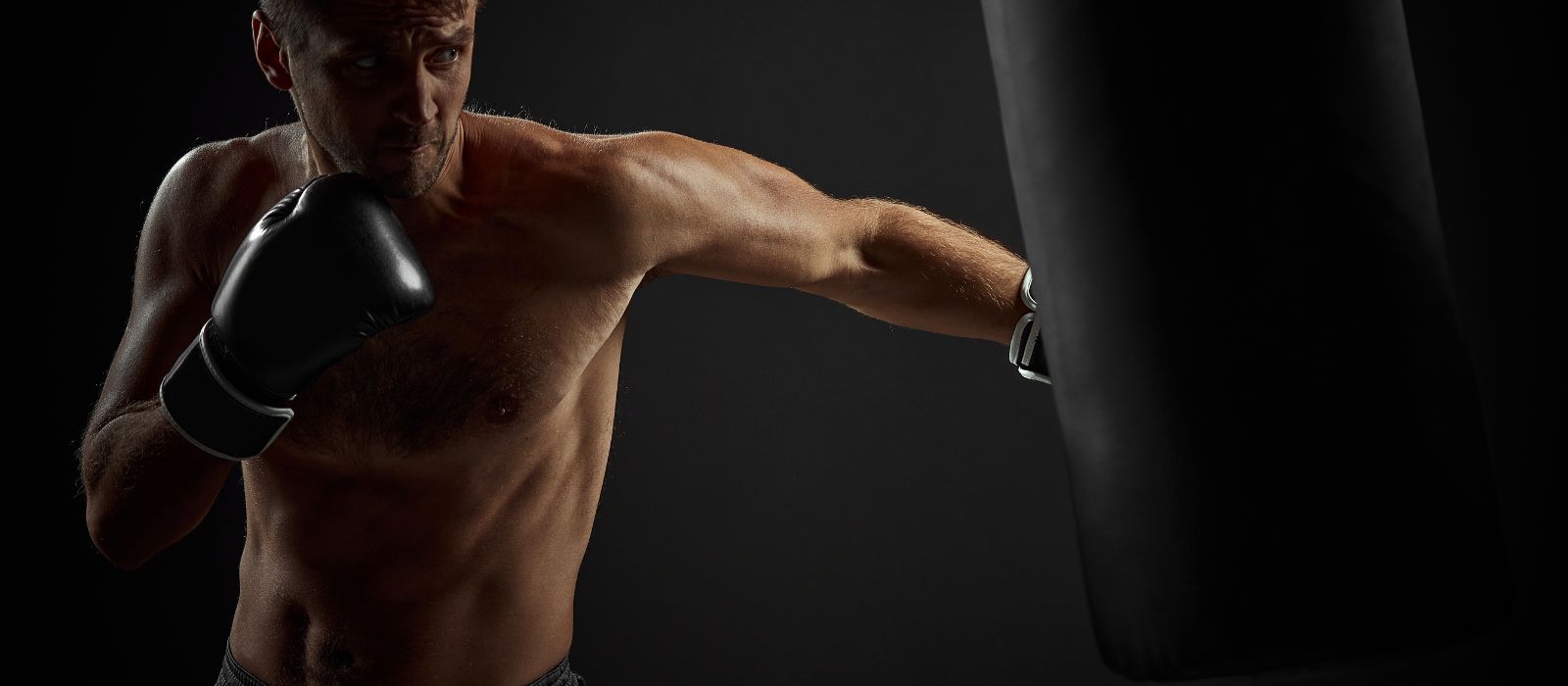 Guía del comprador Saco de boxeo – Combat Arena