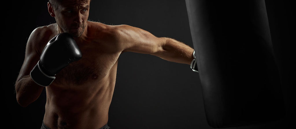 Guía del comprador Saco de boxeo – Combat Arena